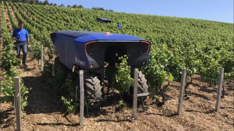 Le robot enjambeur Bakus fait ses premiers pas dans les vignes des Riceys | VIGNERONS DES RICEYS